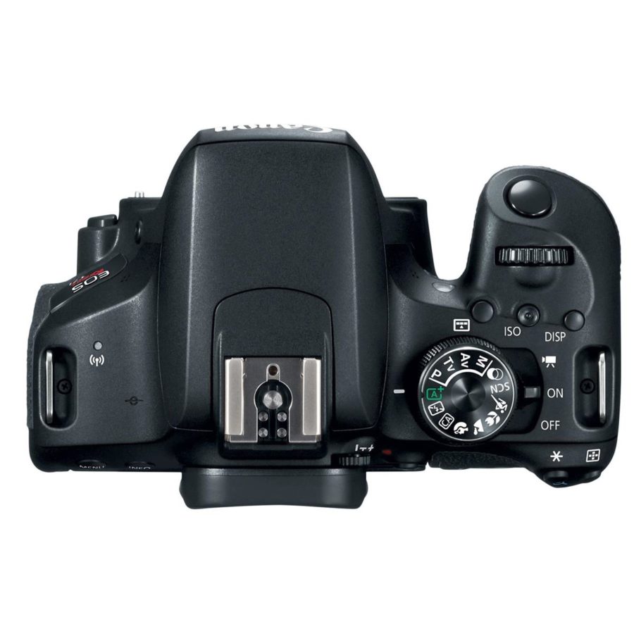 Canon EOS Rebel T7i - davemclelland.com